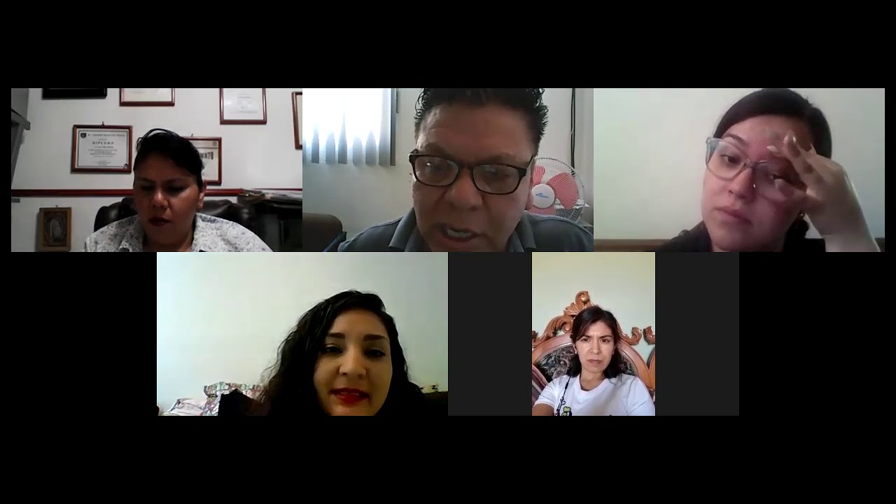 zoom interaction 13 Junio - YouTube