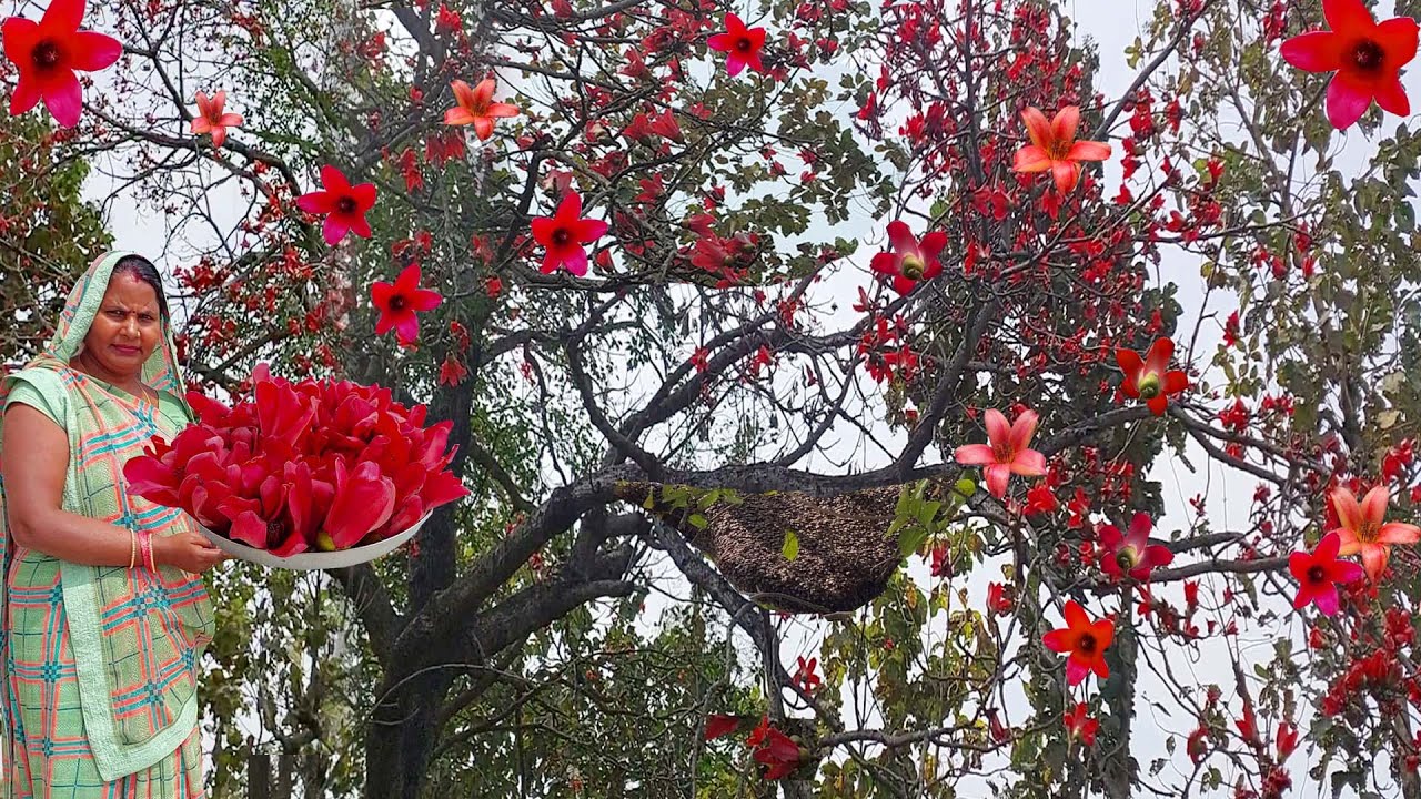 घर पर सेमल के फूल का ऐसी स्वादिष्ट रेसिपी बनाएंगे तो सब मांग-मांगकर ...