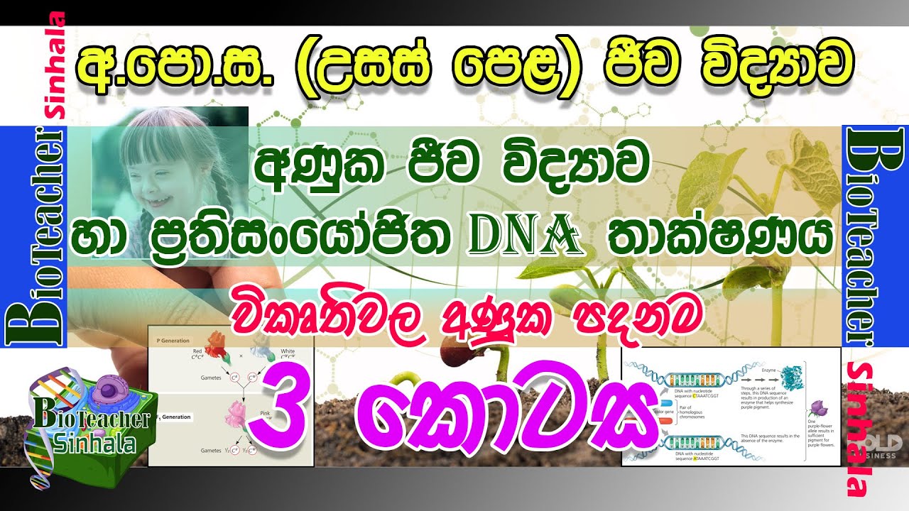 016 AL Biology Sinhala Molecular Biology Molecular basis of mutations ...