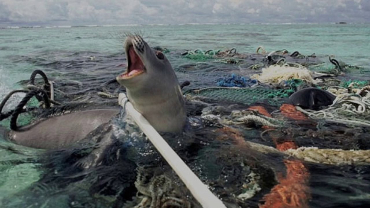 Public Service Announcement- Pollution - YouTube