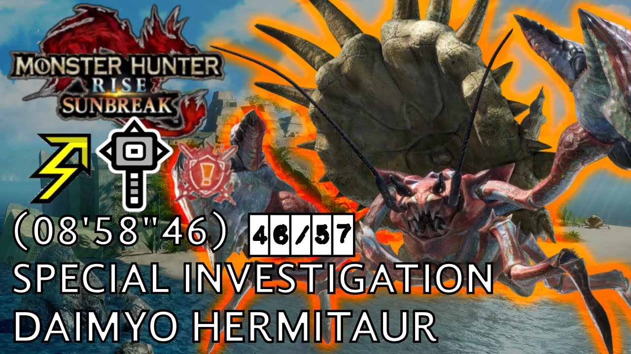 SPECIAL INVESTIGATION: DAIMYO HERMITAUR | Hammer Courage | 1st try ...