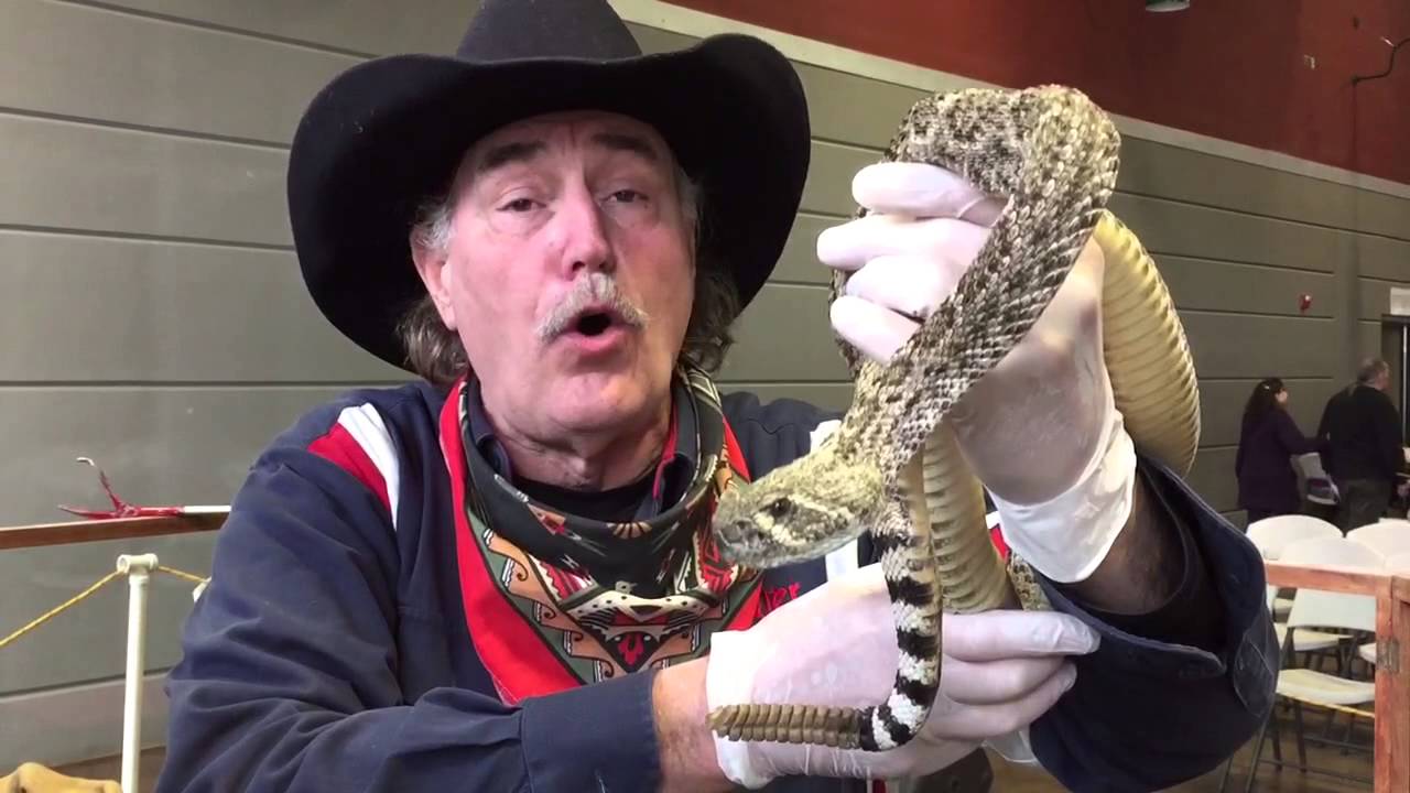 West Texas Rattlesnake Show - YouTube