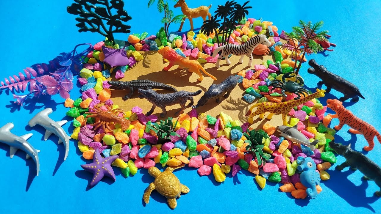 Zoo, farm, sea Animal Toys in a Tub! 🎉 sea animals for kids, Kids ...