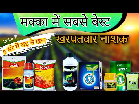 Makka me best kharpatwar nashak | मक्का खरपतवार नाशक दवाई | मक्का में चारा मार दवा | 2024 में