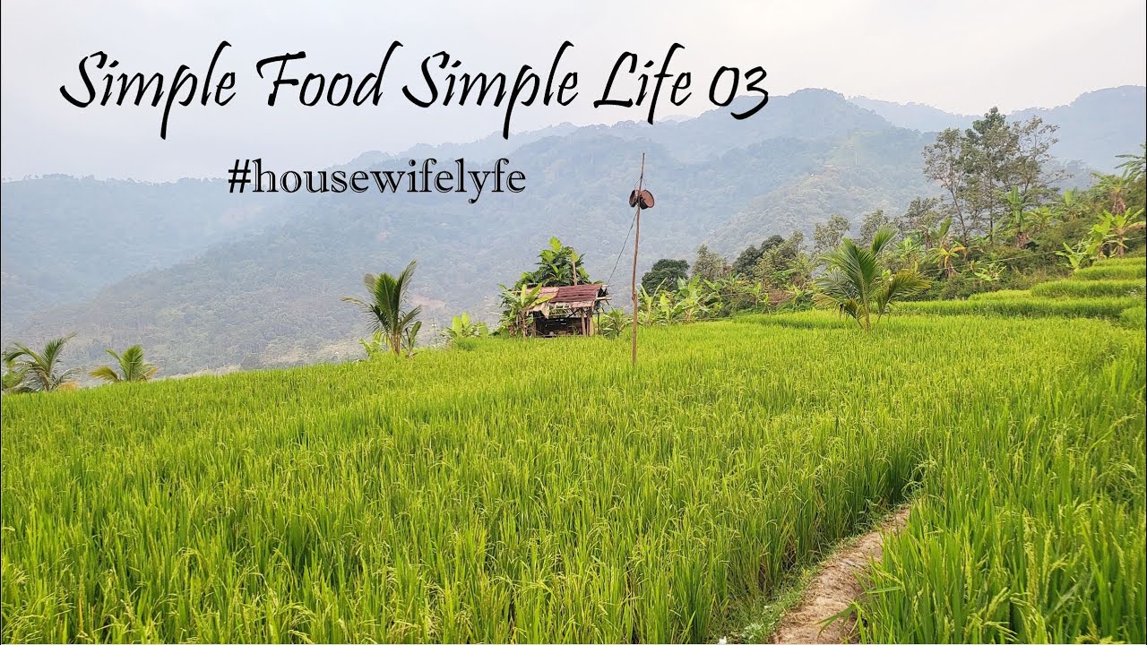 Simple Food Simple Life #3 - Groceries, Making Gimbap, and Tips How to ...