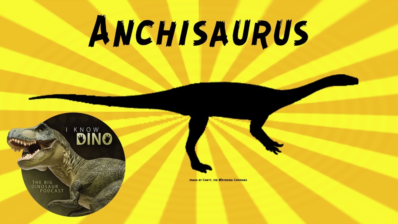 Anchisaurus