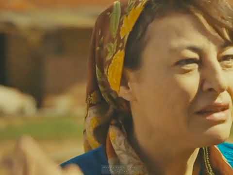 emine babaanne||sevda mecburi istikamet