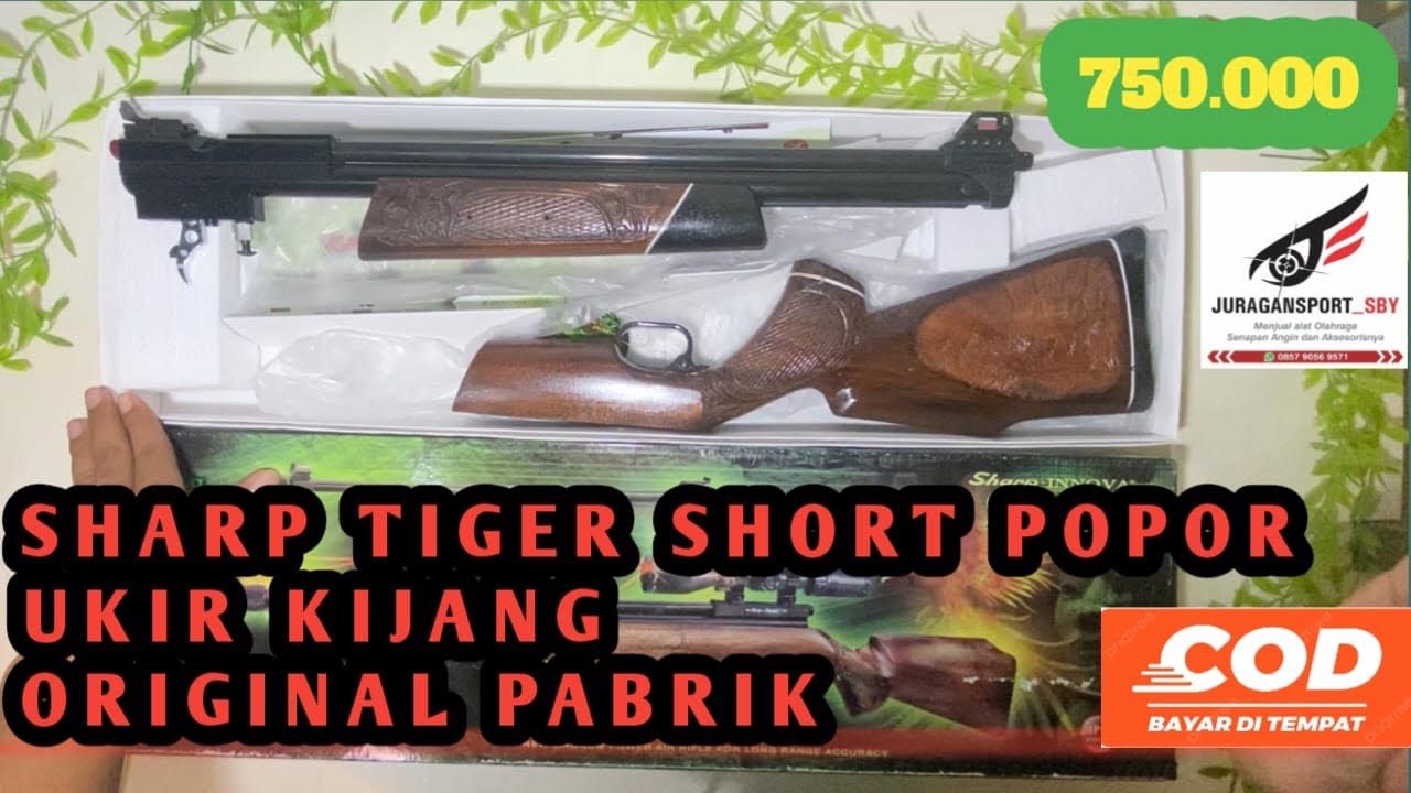 REVIEW UNIT SHARP TIGER SHORT POPOR KIJANG ORIGINAL PABRIK, ORDER ...