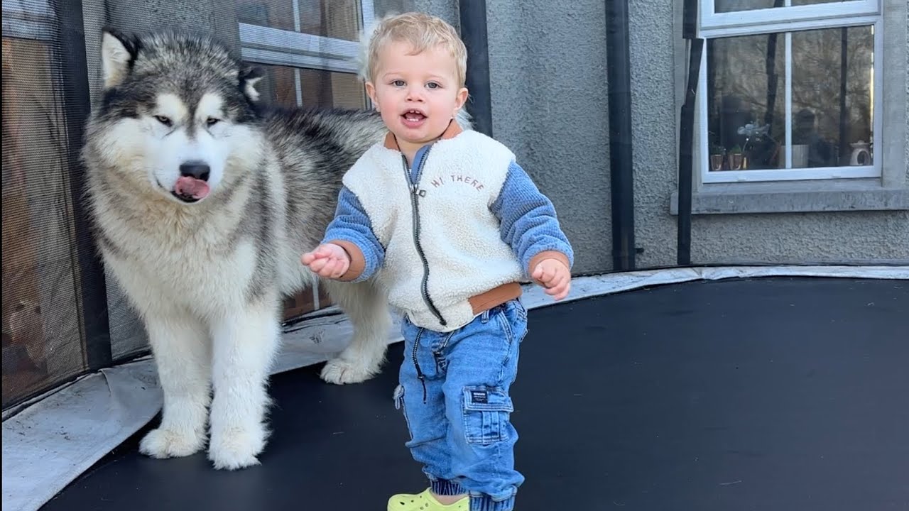 Adorable Baby Boy Plays With His Big Bad Wolf! (So Cute!!) - YouTube