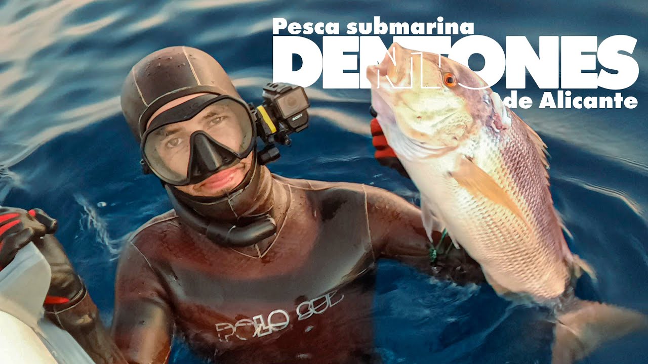 🔱Pesca submarina en ALICANTE. Aprendiendo a pescar. Ep.7 (DENTONES A LA ...