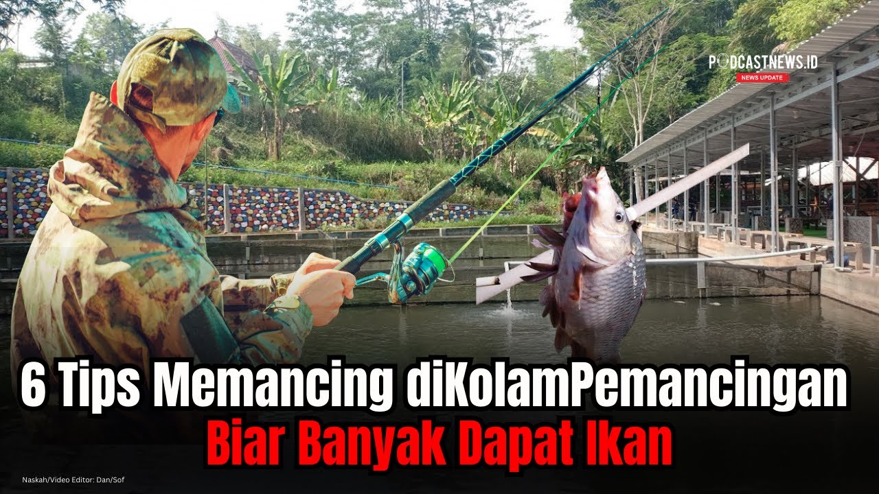 6 Tips Memancing di Kolam Pemancingan Biar Banyak Dapat Ikan - YouTube