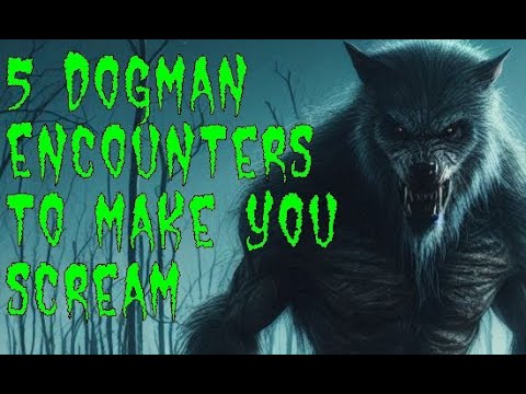 (E.62) 5 True Scary Dogman Encounters Told for the First Time Ever ...