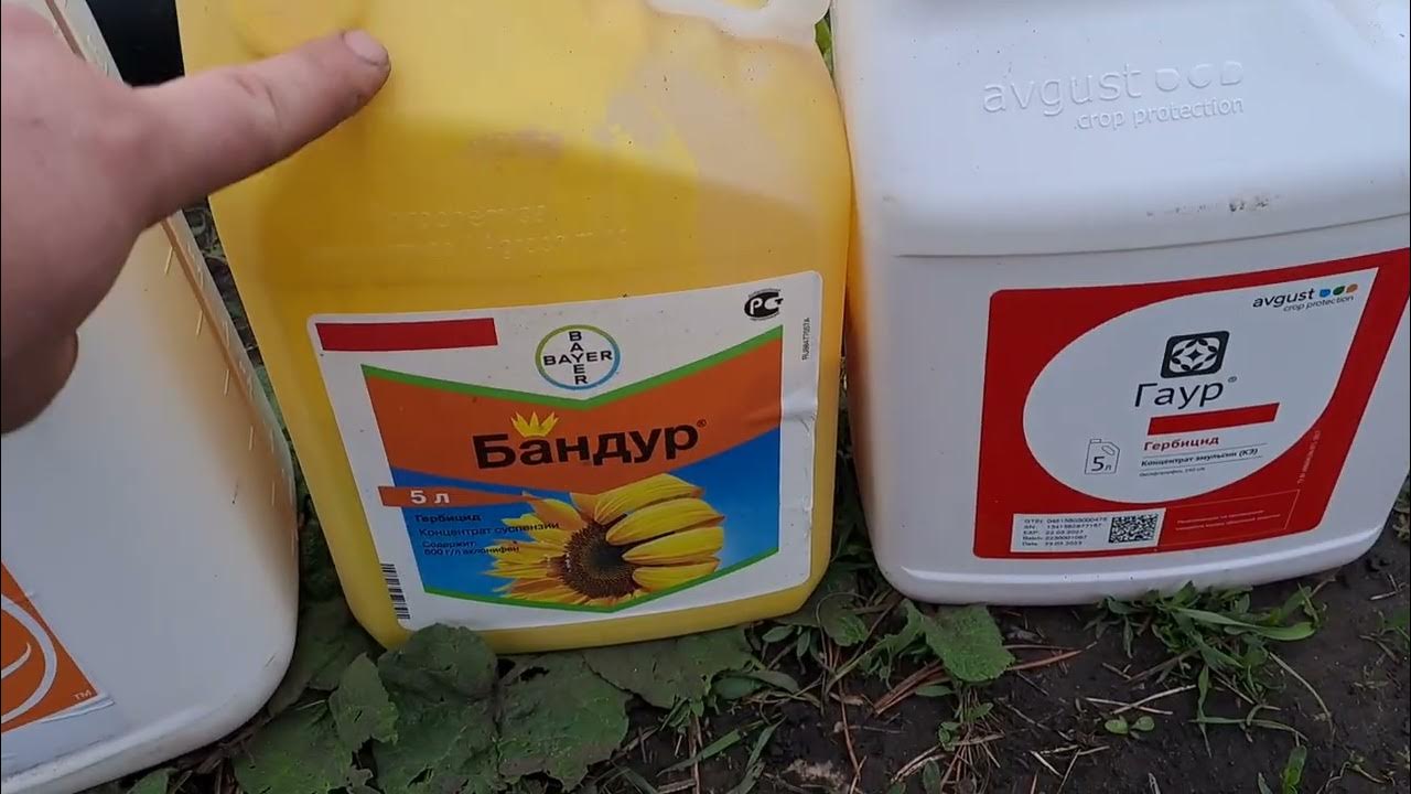Почвенные гербициды для лука и чеснока - YouTube
