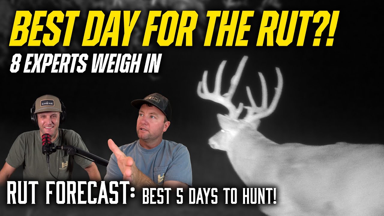 BEST 5 Days for Your RUT VACATION?! (We Asked Some SERIOUS Big Deer ...