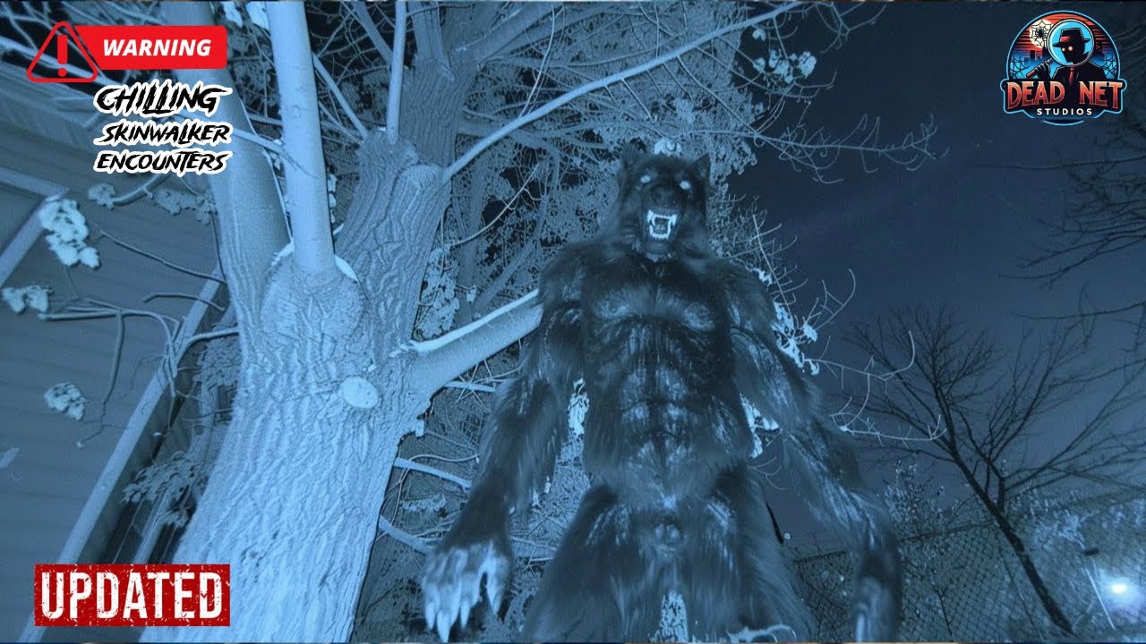 12 Real Skinwalker Encounters: Evil Dogman Counterparts - YouTube