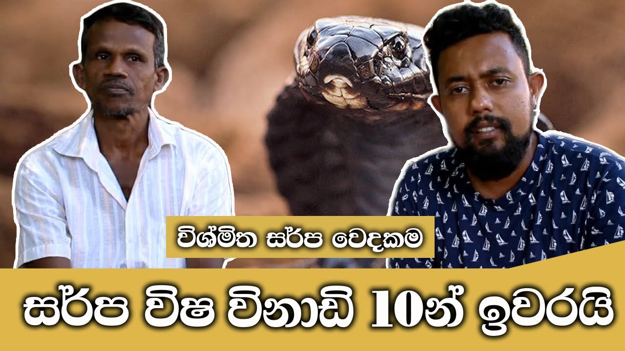 විශ්මිත සර්ප වෙදකම-wishmitha sarpa wedakama/Snake venom cure quickly ...