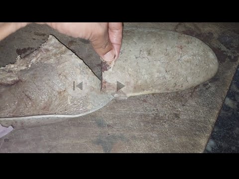 PASSARINHA BOVINA FRITA - YouTube