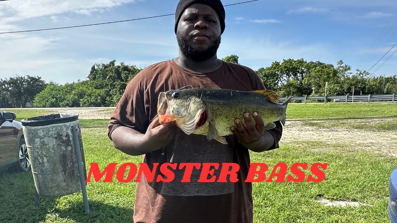 HOW TO CATCH A MONSTER BASS AND BLUEGILLS (CATCH,CLEAN, AND COOK) - YouTube