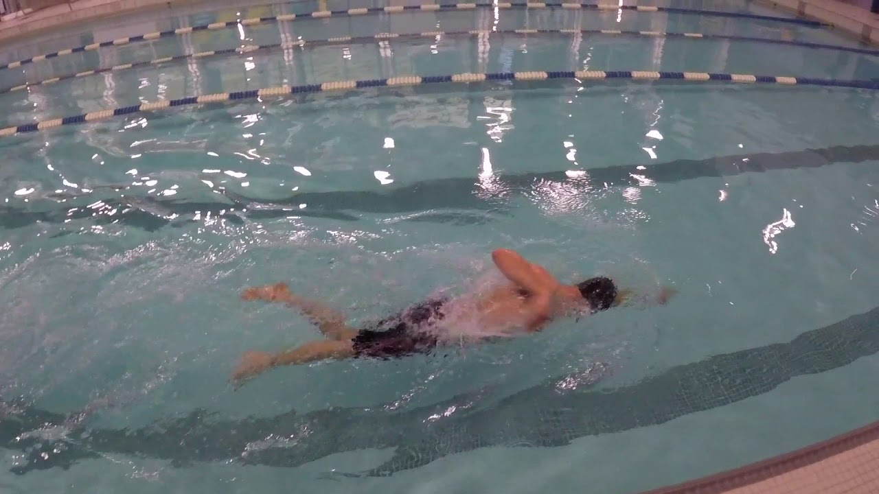 5 Steps to Front Crawl - YouTube