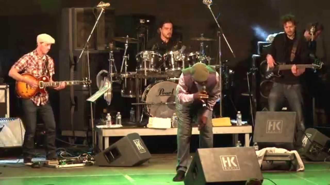 U Brown with B Siders Sunshine Reggae Festival 2015 - YouTube