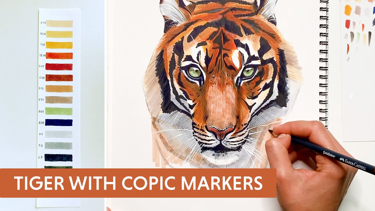 Tiger with Copic Markers (Timelapse) - YouTube