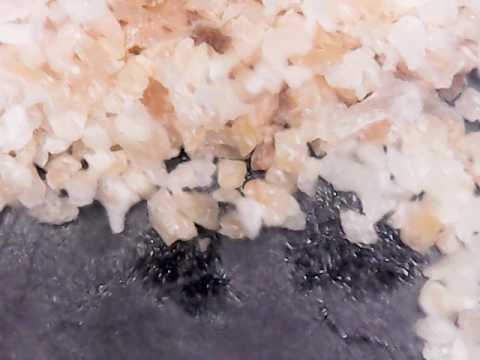 garlic salt under a microscope - YouTube