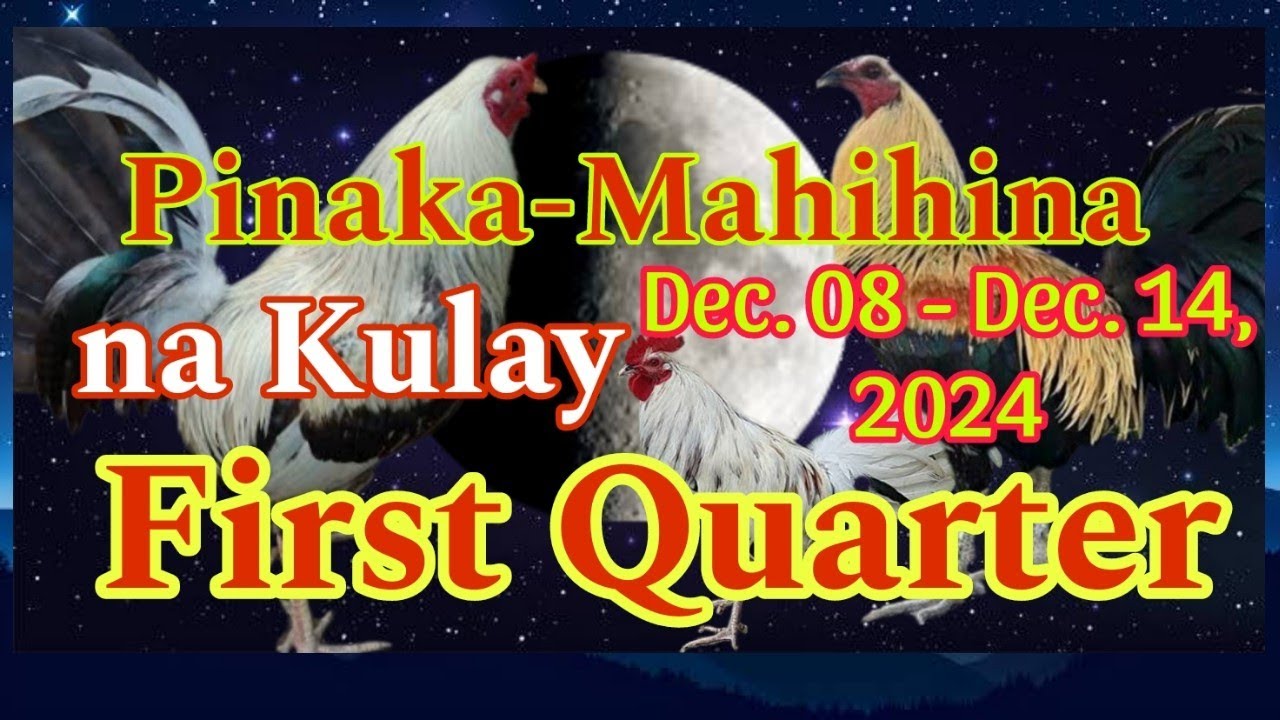 Mahihinang Kulay ng Balahibo ng Manok sa Panahon ng First Quarter/Top 6 Weak Game Fowl First ...
