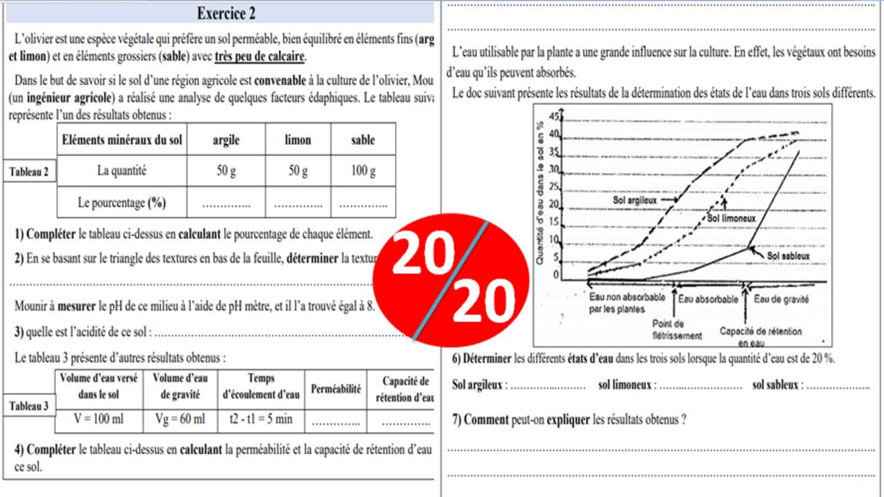 Contrôle 2 svt tcs biof les facteurs édaphiques - YouTube