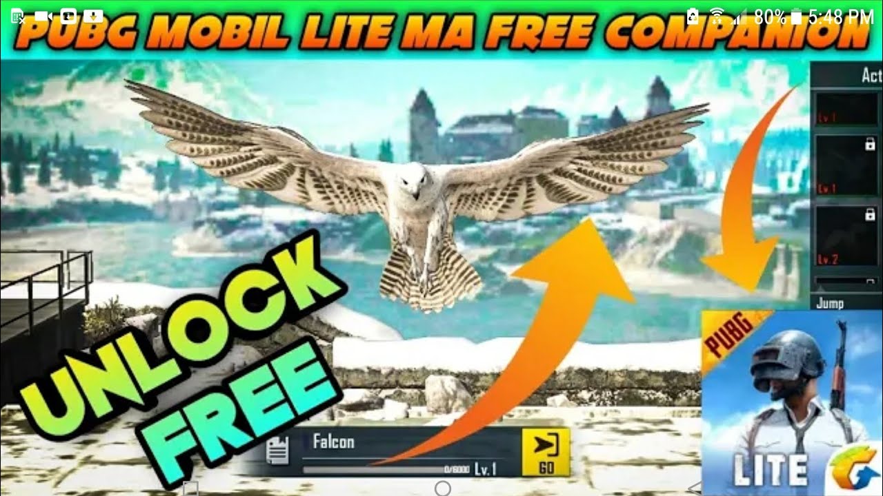 How To Get Free Falcon In Pubg Lite New Update Techxtein Gaming Youtube