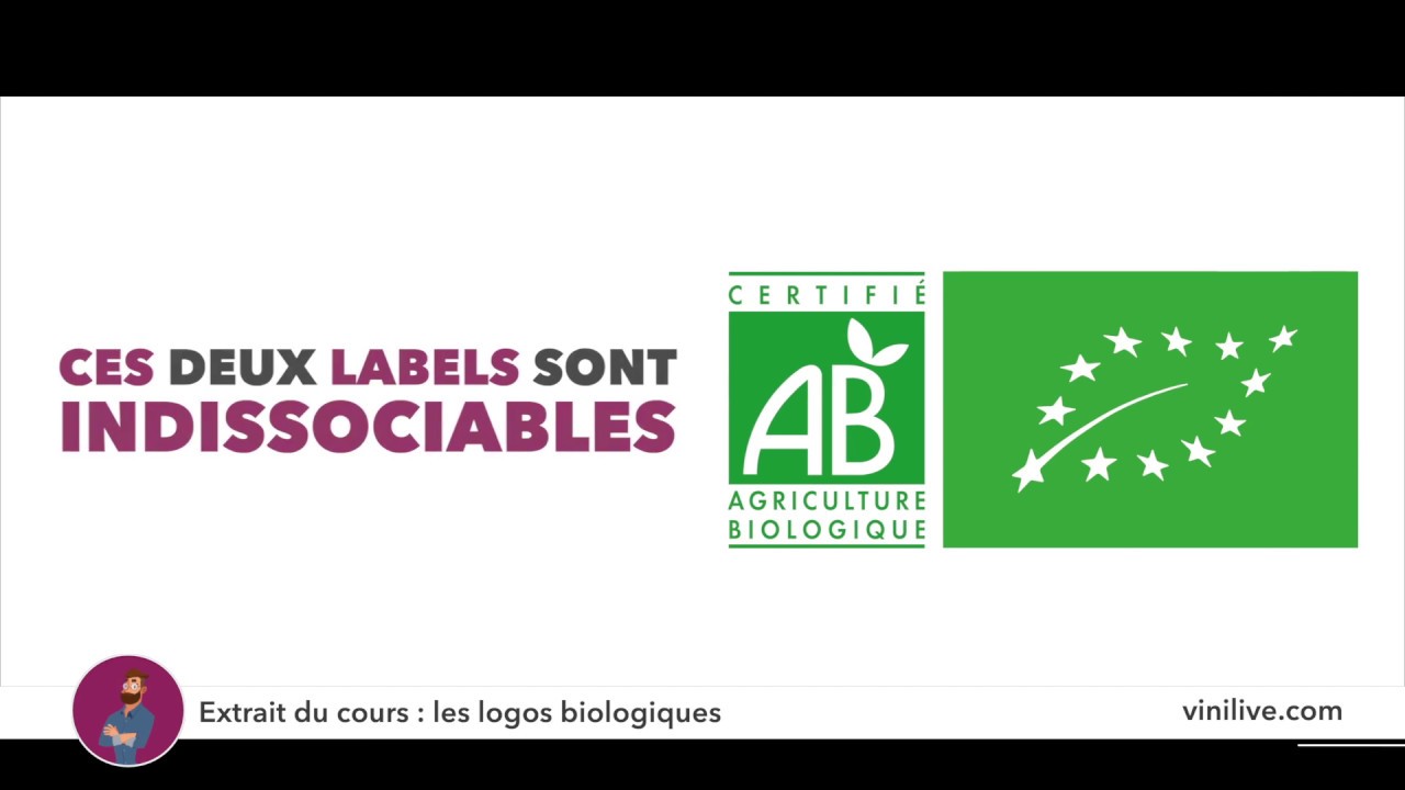 VINILIVE : Bien comprendre le Vin Bio et ses Labels - YouTube