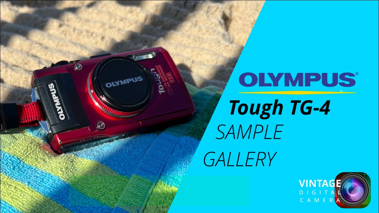 Olympus Tough TG-4 Sample Gallery (Beach and macro photography) (4K version)