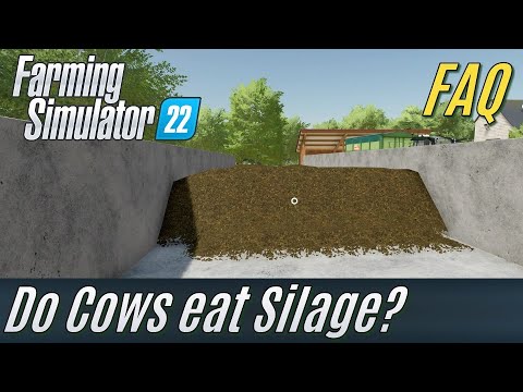 Do Cows eat Silage? FS22 FAQ - YouTube