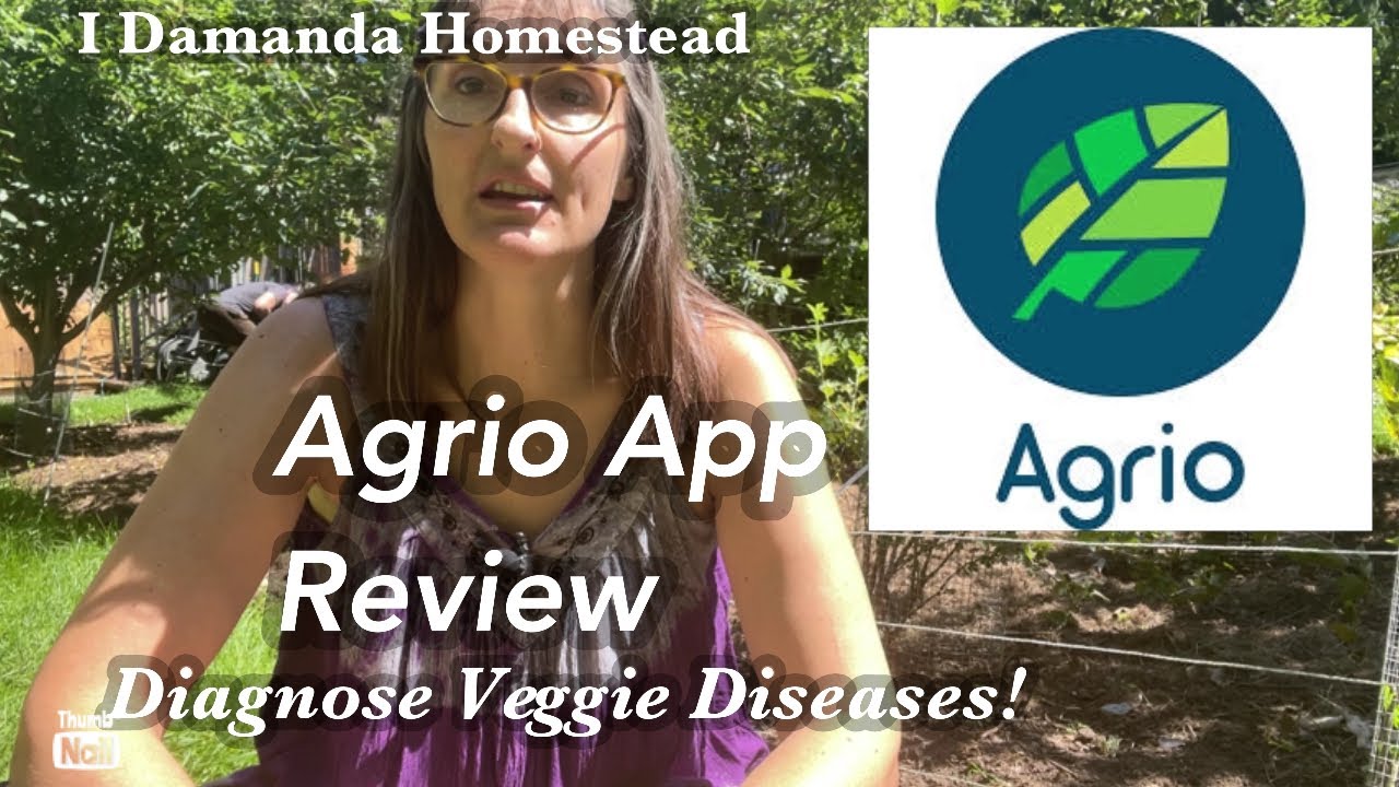 Agrio, the App to Diagnose Your Vegetable and Fruit Diseases! - YouTube