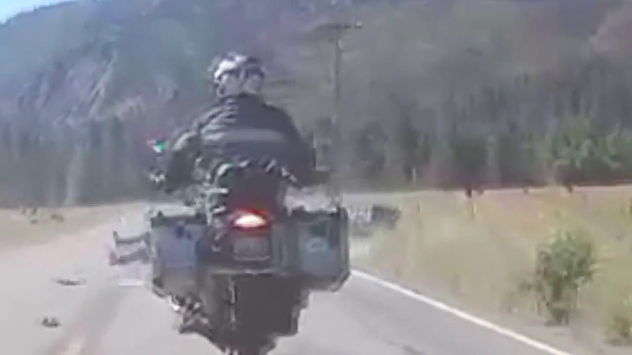 Motorcycle Deer Strike - YouTube
