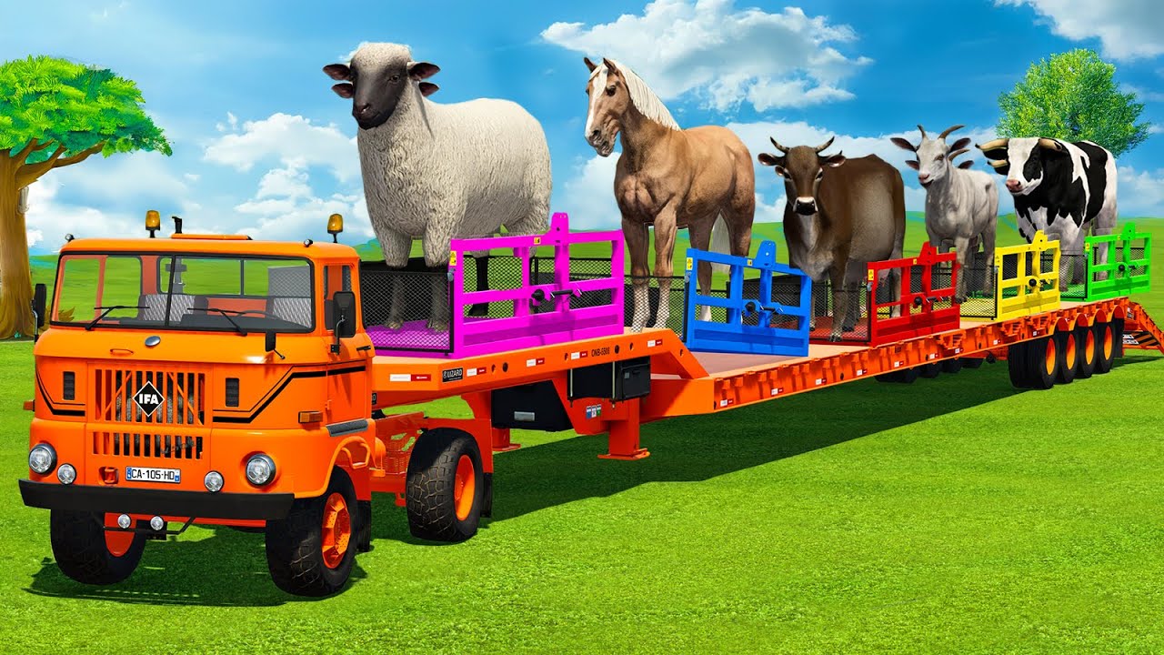 LOAD SHEEPS, HORSES, GOATS, COWS, BULLS & TRANSPORT WITH IFA TRUCK ...