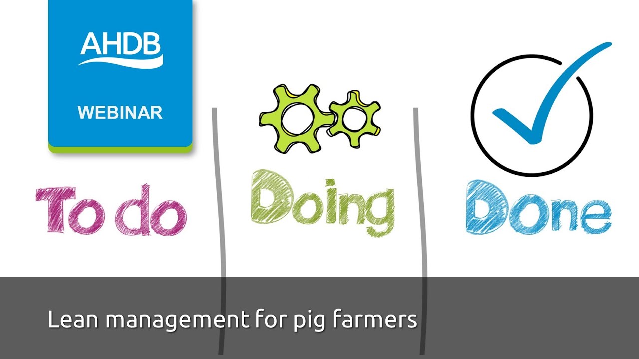 Lean management for pig farmers - YouTube