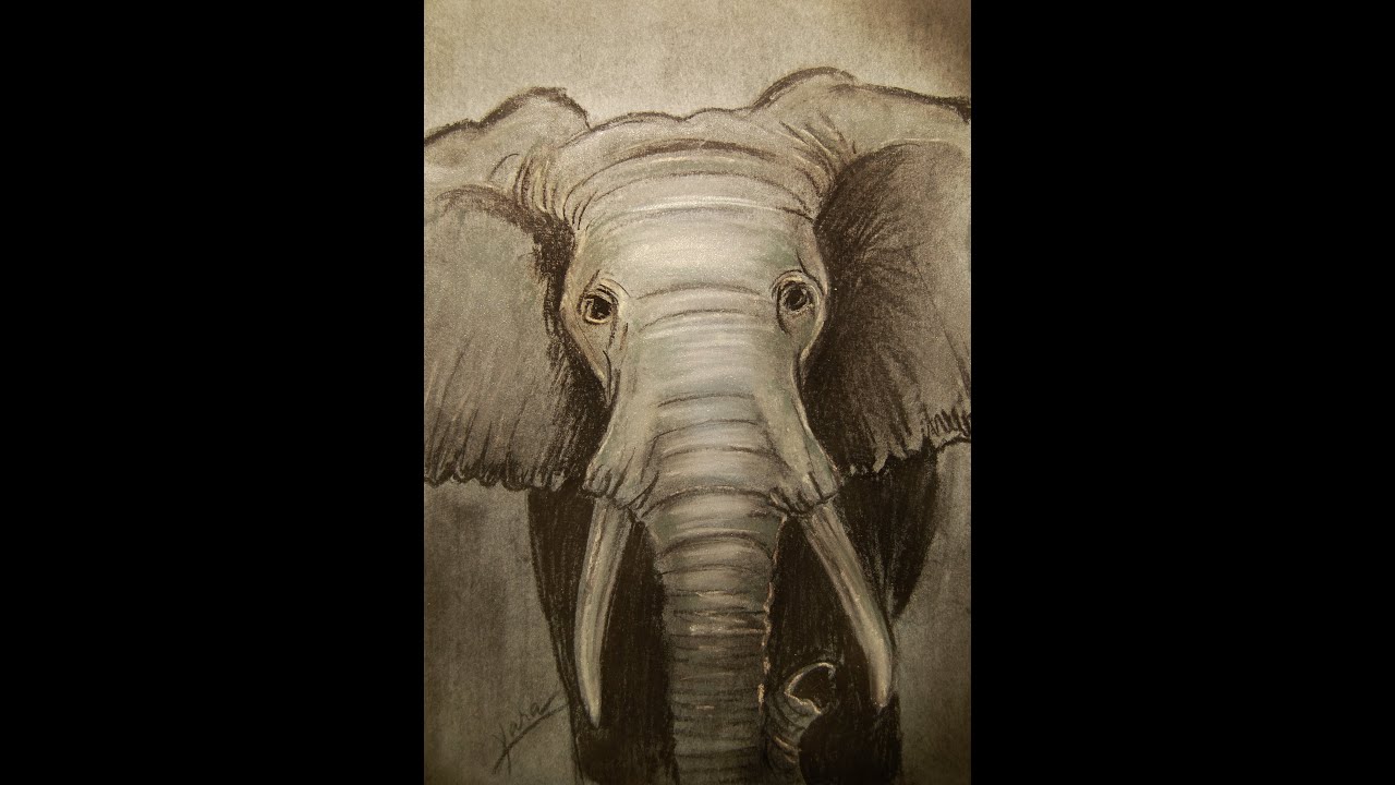 28. The Elephant King (pastel drawing tutorial), by Kara - YouTube