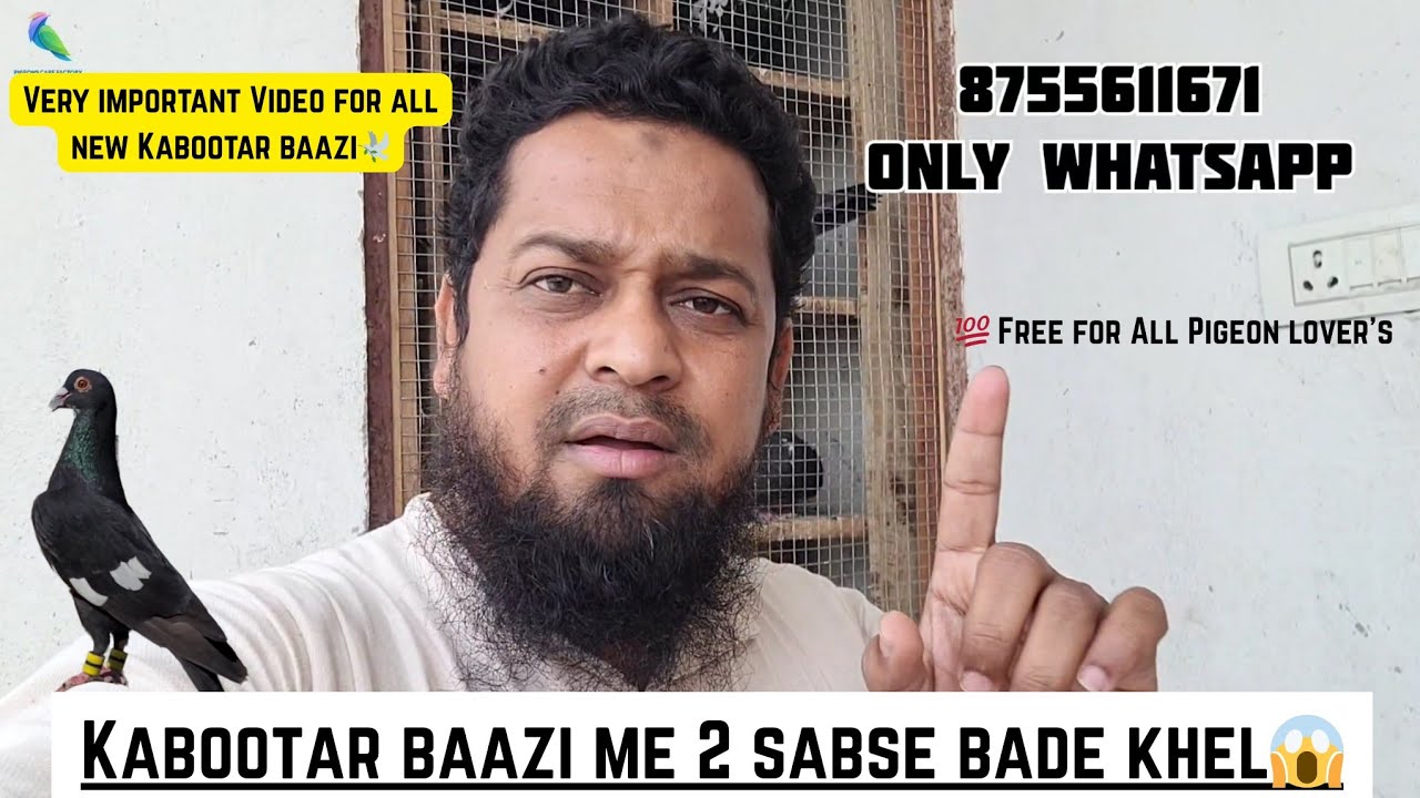 Very important Video For All Kabootar baaz ||Kabootar bazi Me 2 Sabse Bade Khel || - YouTube