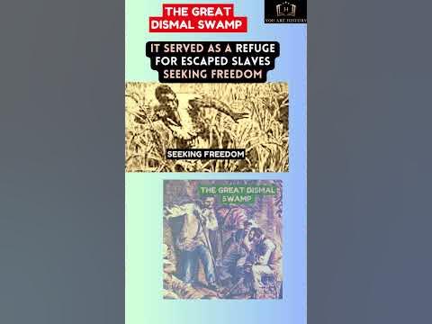 The Great Dismal swamp #history #americanhistory #blackhistory - YouTube