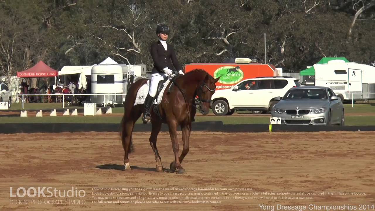 Monique Lowe - Yong Dressage Championships 2014- April 19th and 20th ...