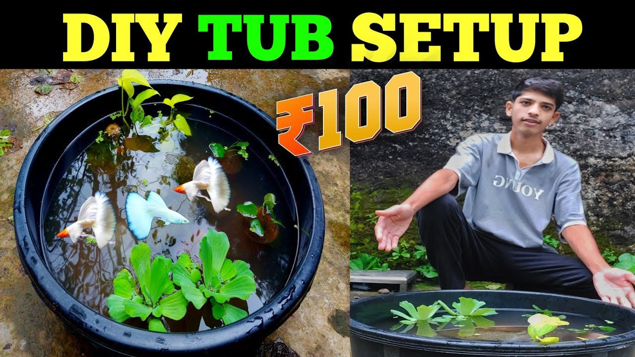 DIY Planted Tub Fish Pond Setup Aasan Tarika - YouTube