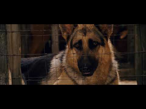 beverly hills chihuahua (2008) - chloe meets delgado