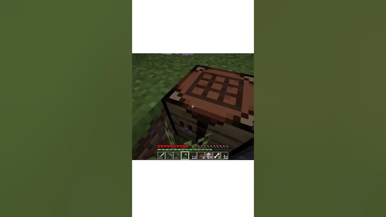 Minecraft Torch Exploit! - YouTube