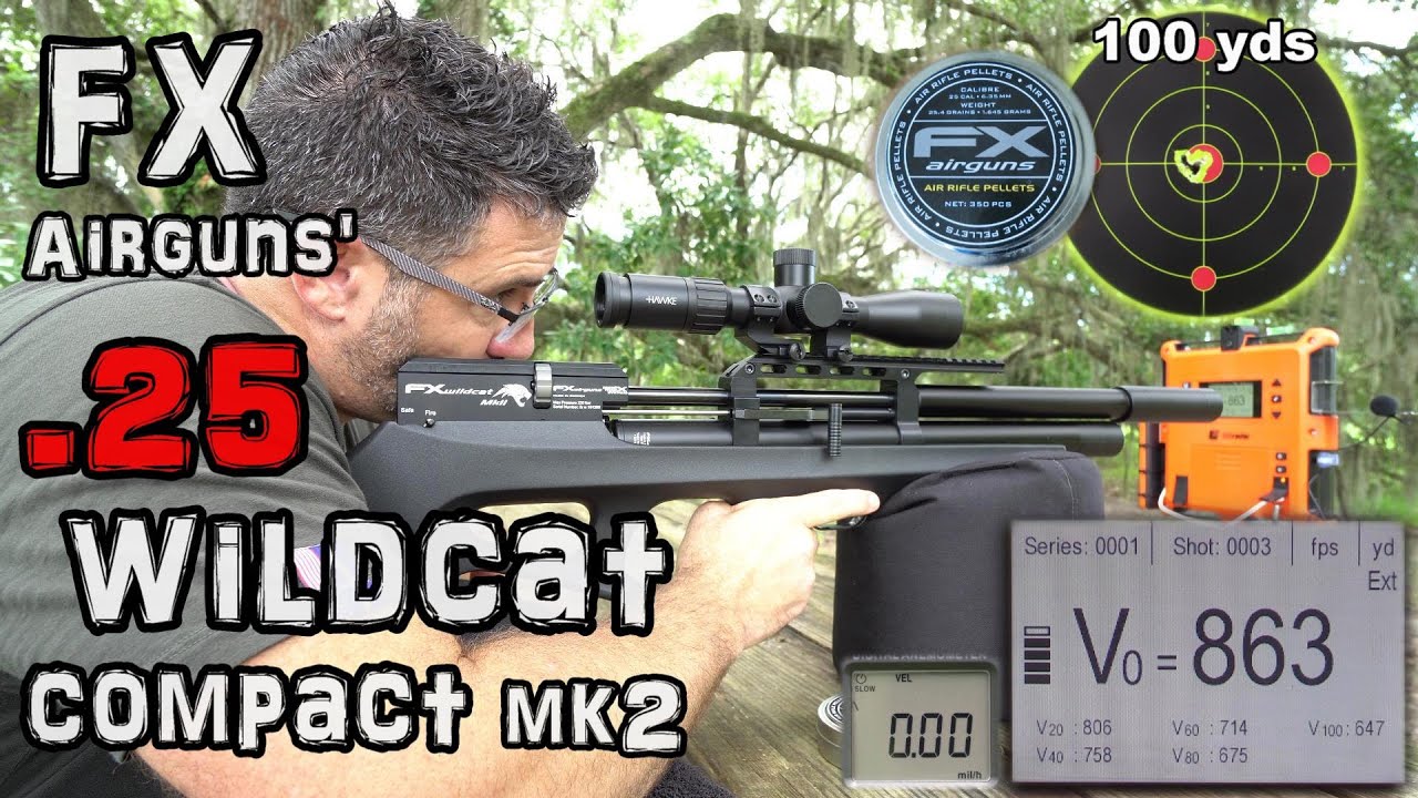 FX Wildcat MK2 .25 Air Rifle + Accuracy TEST - 50 & 100 Yards + FULL ...
