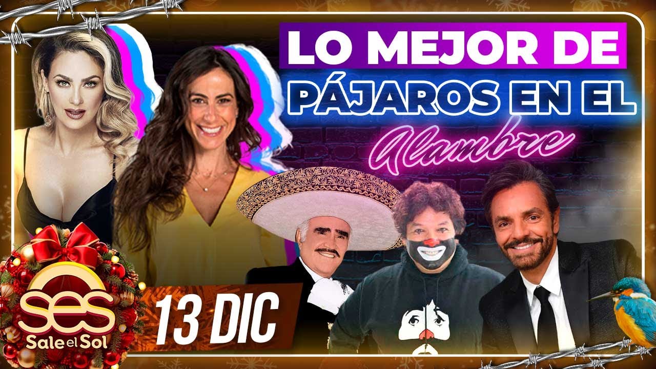Paulina Mercado, Christian Chávez, Aracely Arámbula | Lo mejor de ...
