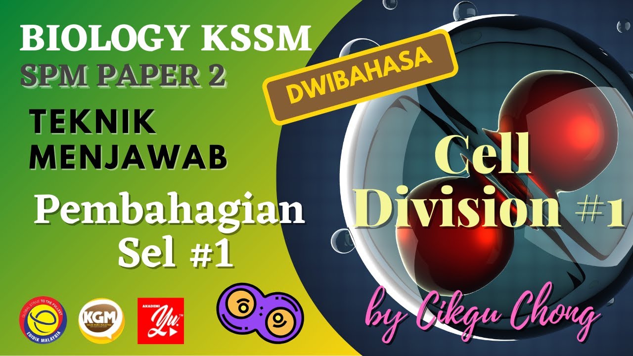 Biology SPM Paper 2 - Answering Technique #3, Cell Division ...