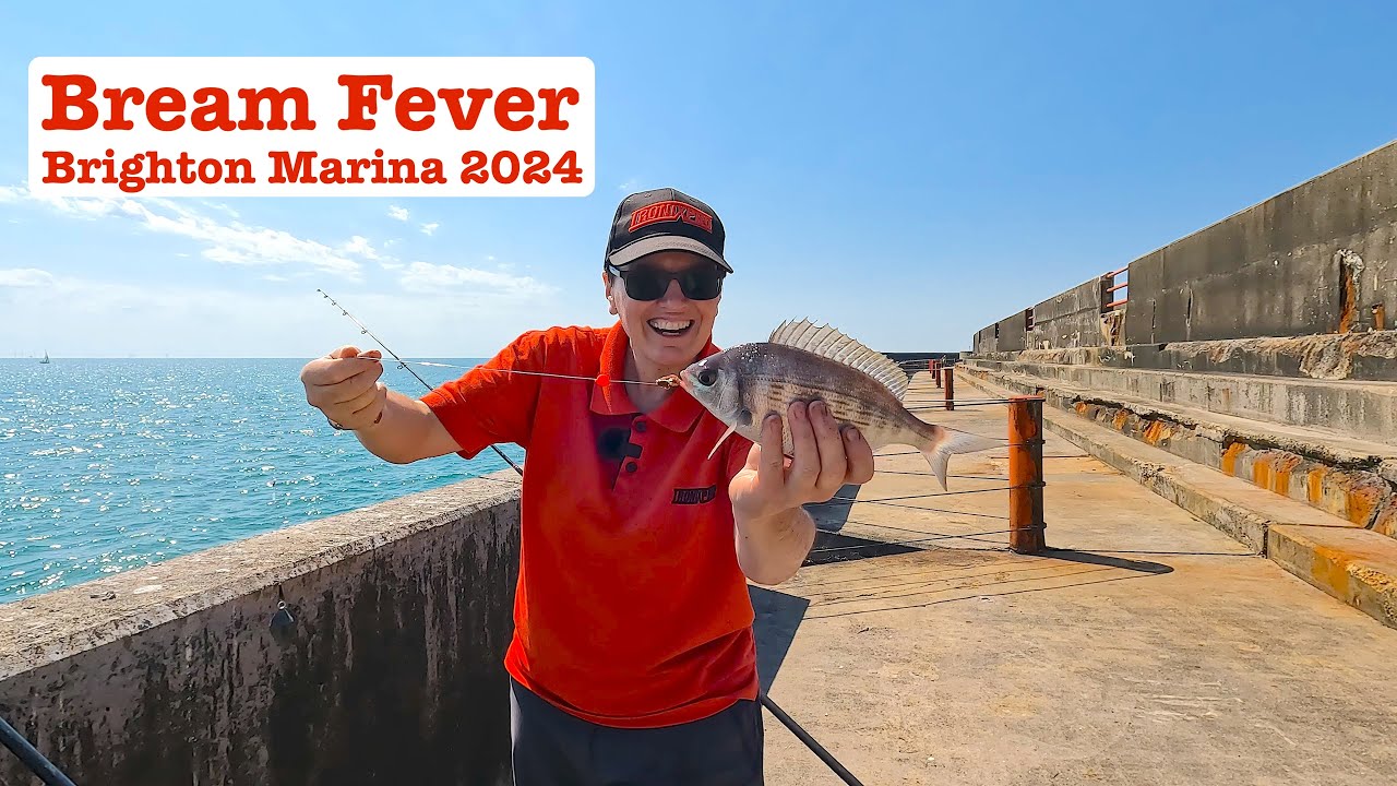Bream Fever on Brighton Marina - YouTube