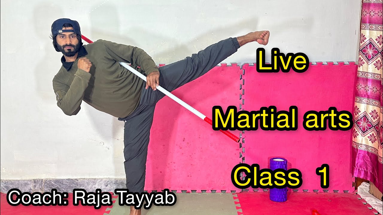 Live martial arts and fitness session with raja tayyab lesson 1 ...