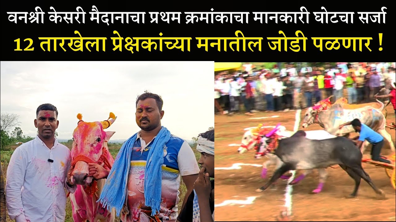 वनश्री केसरी मैदानाचा प्रथम क्रमांकाचा मानकरी घोटच्या सर्जा ची मुलाखत ...