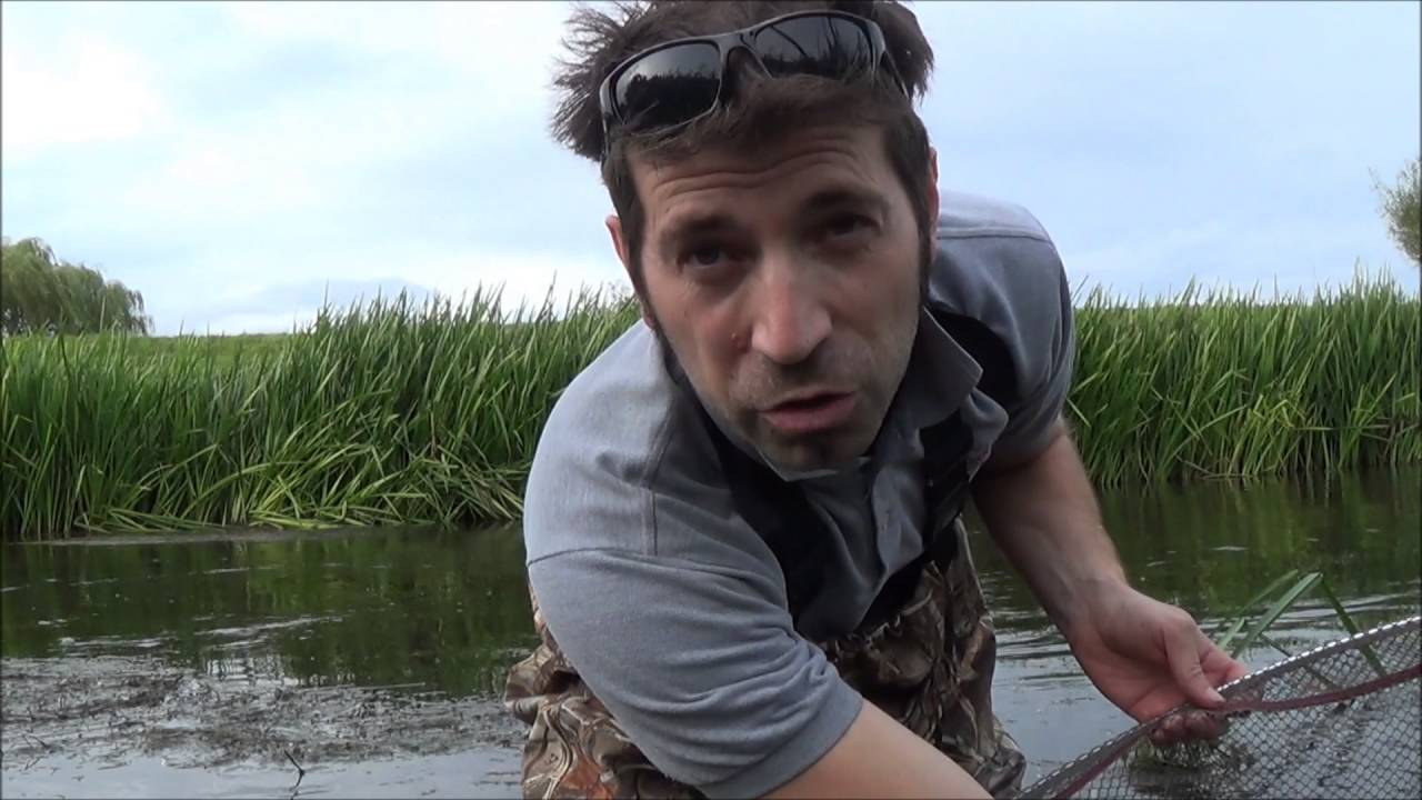 Surface Chub fishing with Bread - YouTube